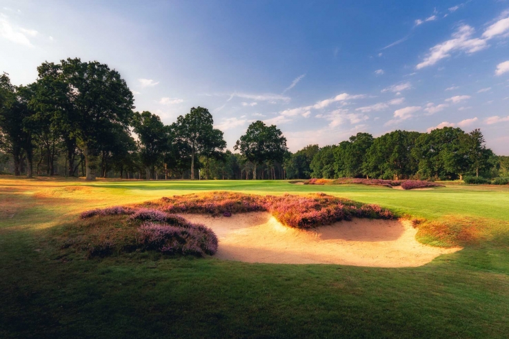 Woking Golf Club | Evalu18 | Best Golf England | Top Golf Course Surrey
